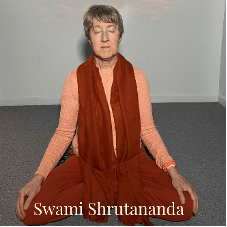 Swami Meditation | SVA Blog