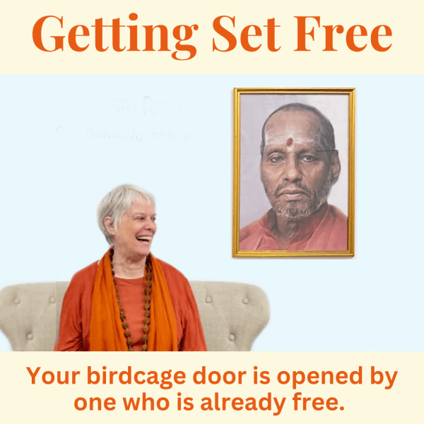 Getting Set Free | SVA Blog